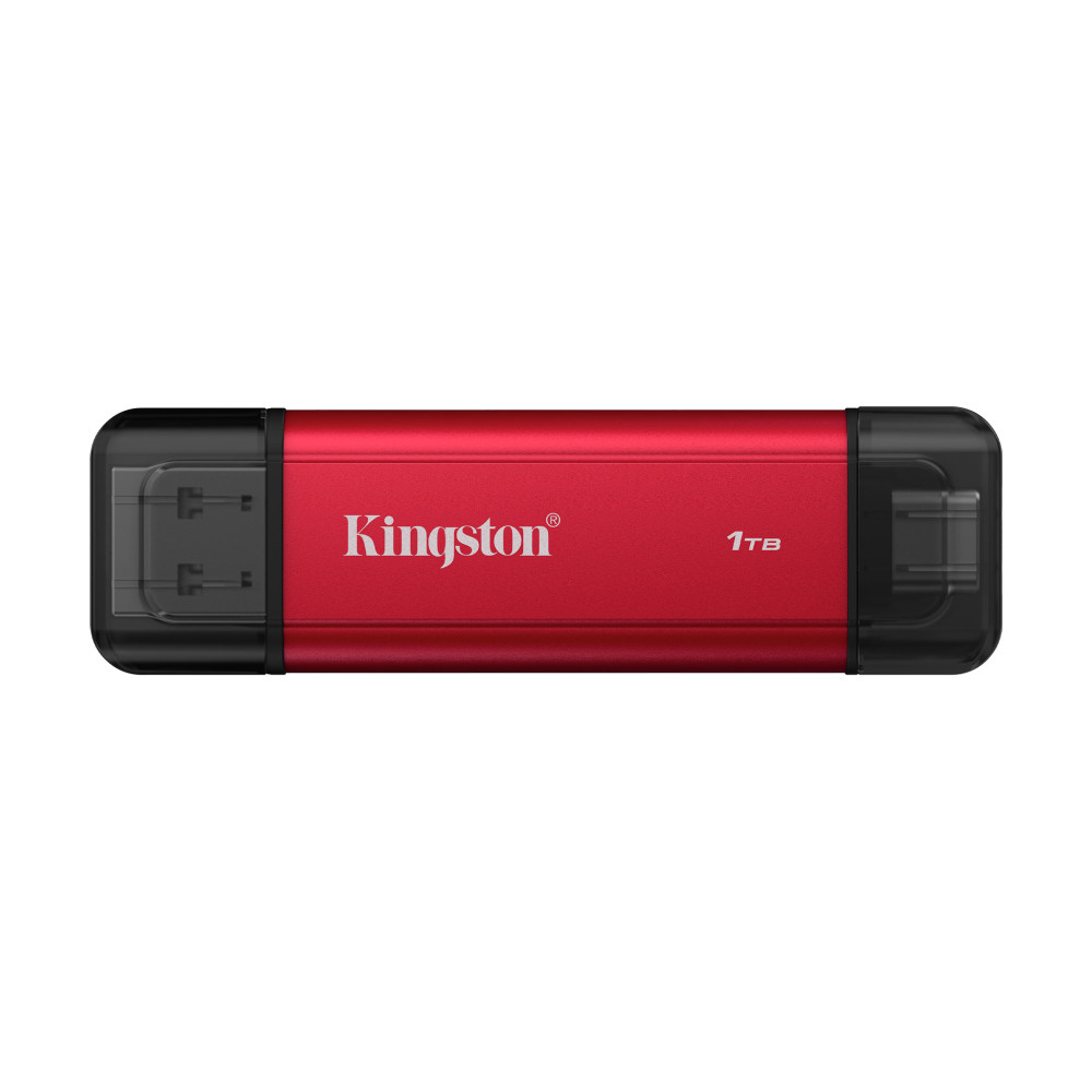 Kingston Dual Portable SSD 1TB USB 3.2 Gen 2 Type-A et Type-C (SPSD/1TB ...
